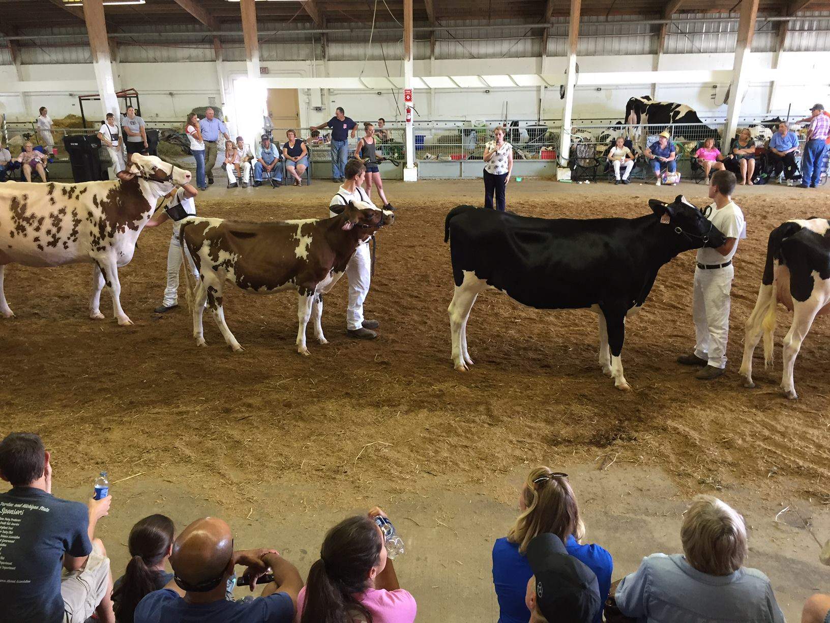 Popular Attractions - OCF